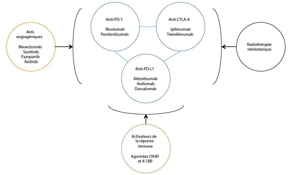 L’immunothérapie dans le carcinome rénal à cellules claires : une ...